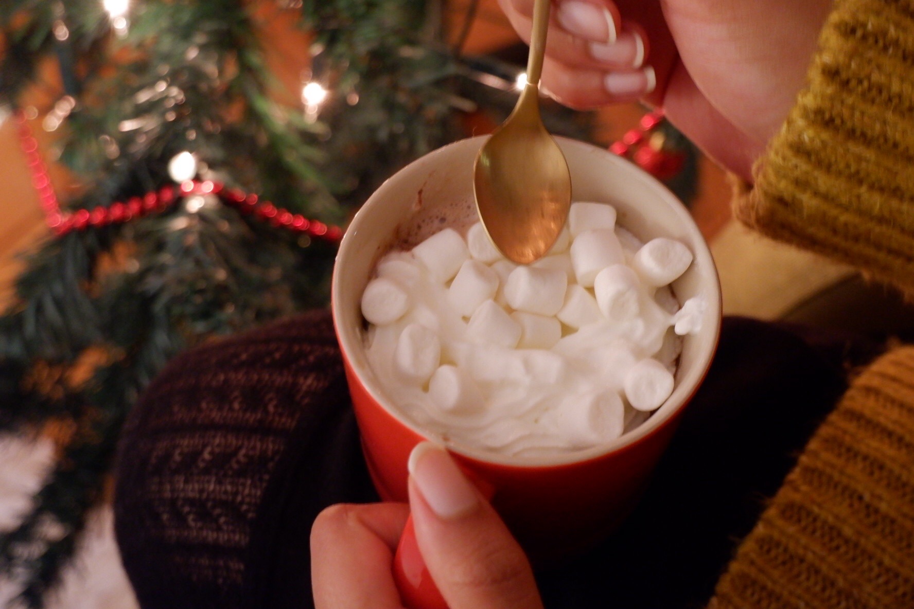 Spiced Baileys Hot Chocolate | Slapdash Cooking